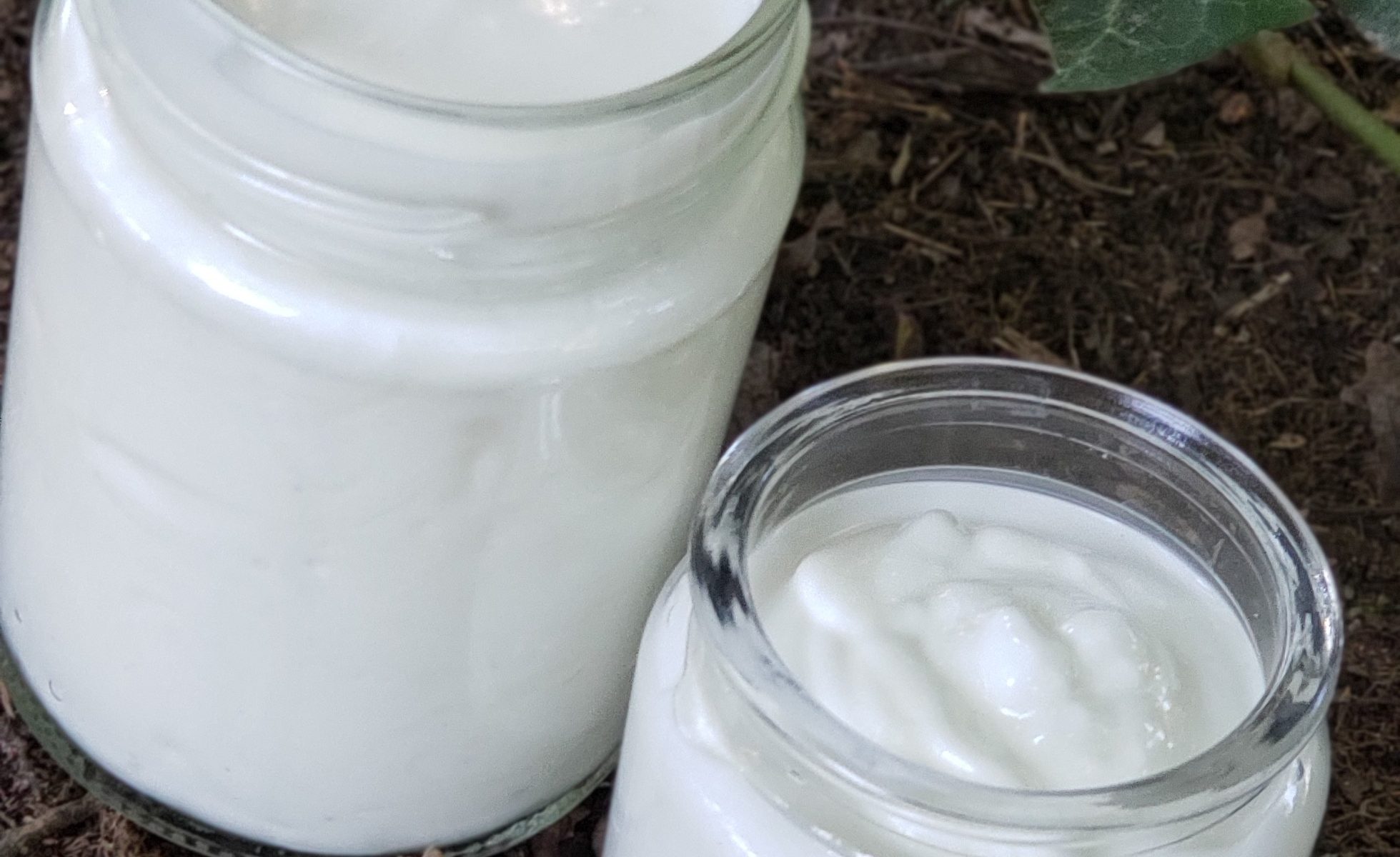 Cold Cream - Journeys of a Homemaker